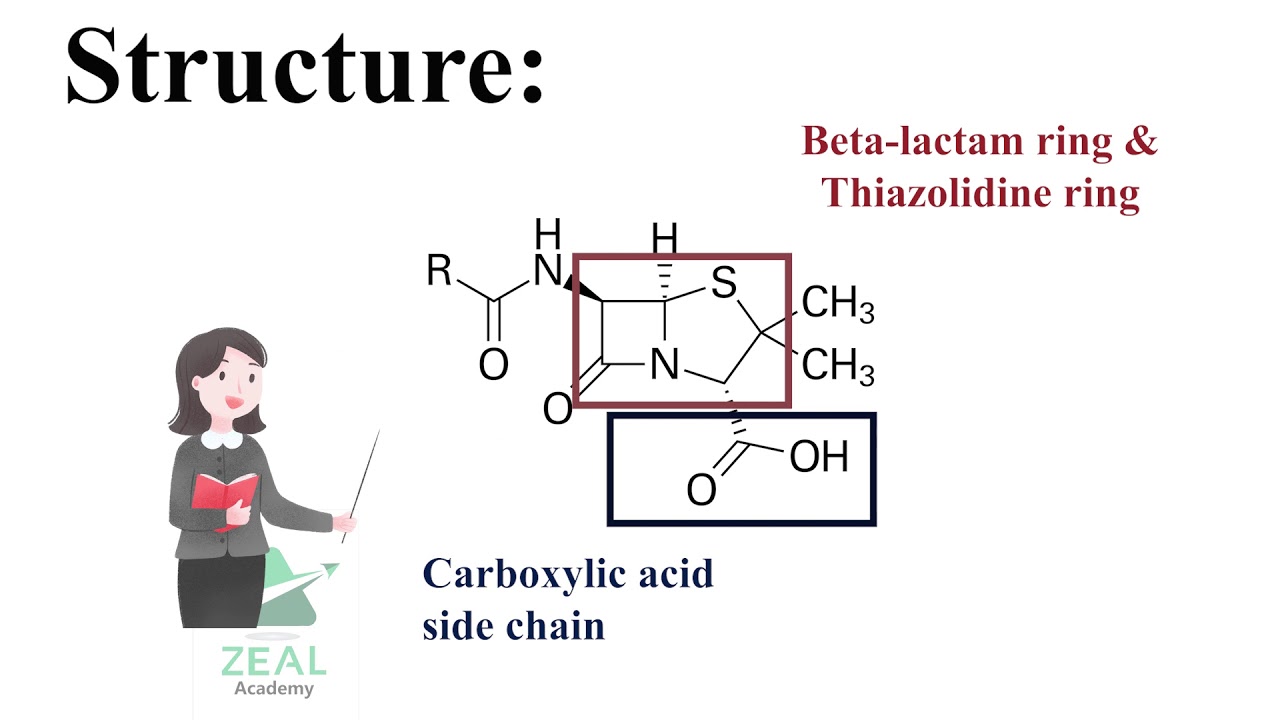 Pharmaceutical Chemistry for PEBC, FPGEE, NAPLEX & KAPS| PENICILLIN SAR ...