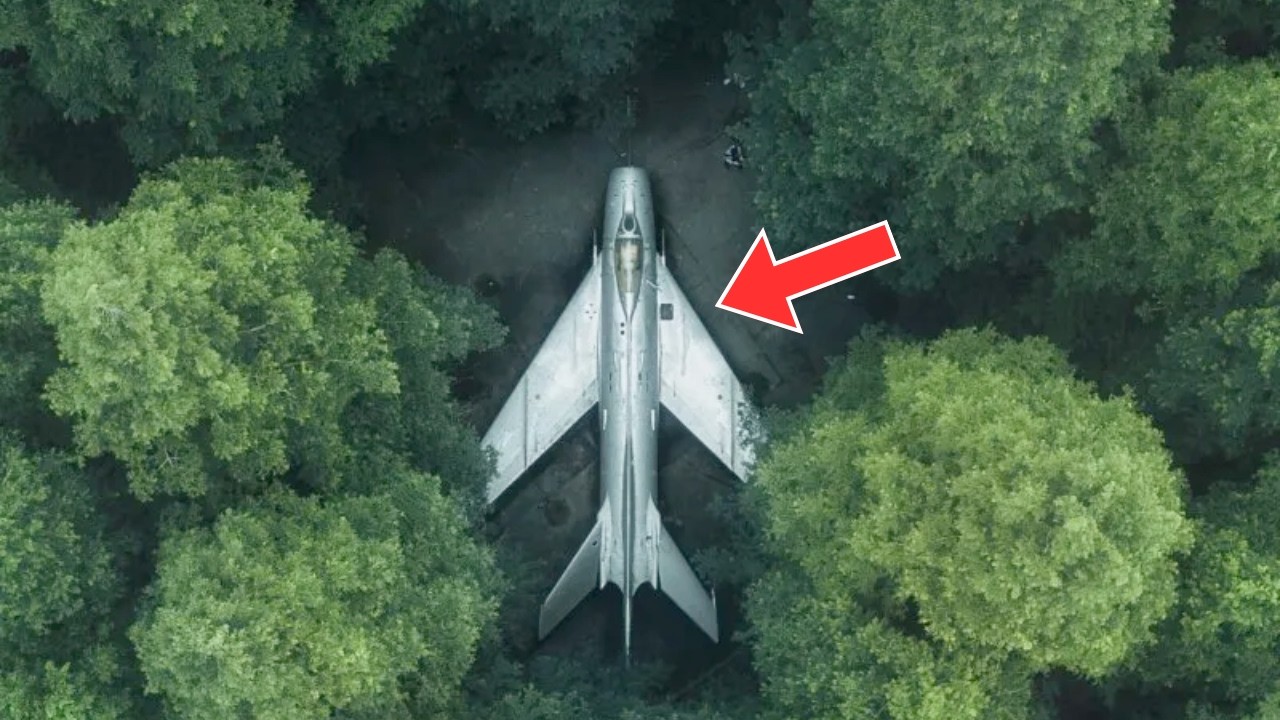 Lost Plane Found After Decades - Researchers Are Stunned When They See ...