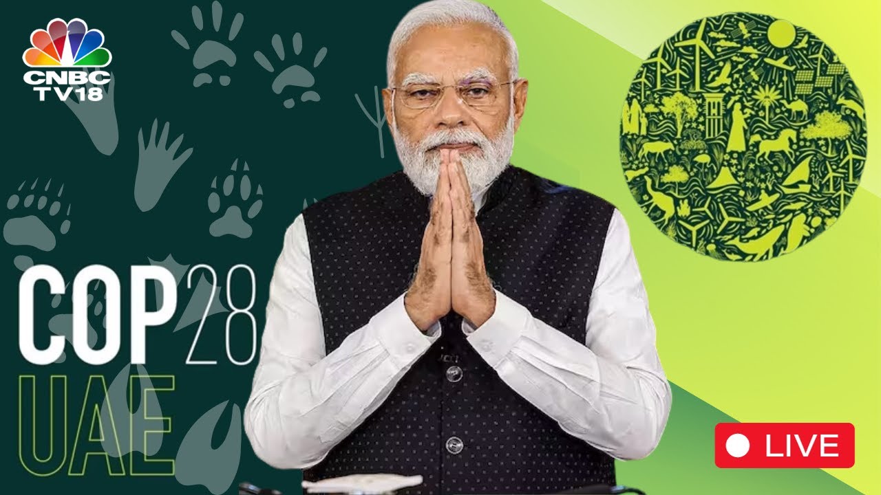 LIVE: PM Modi At The Opening Of High-Level Segment For Heads of States ...