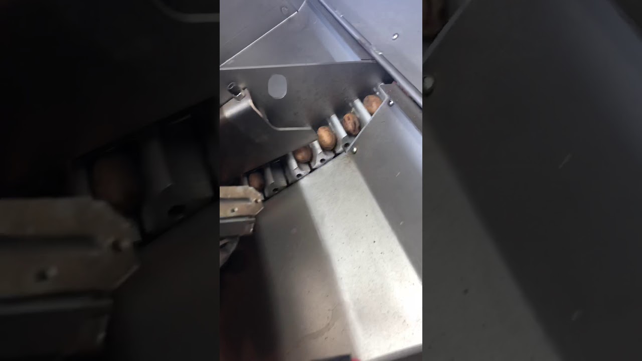 Pecan Sheller - YouTube