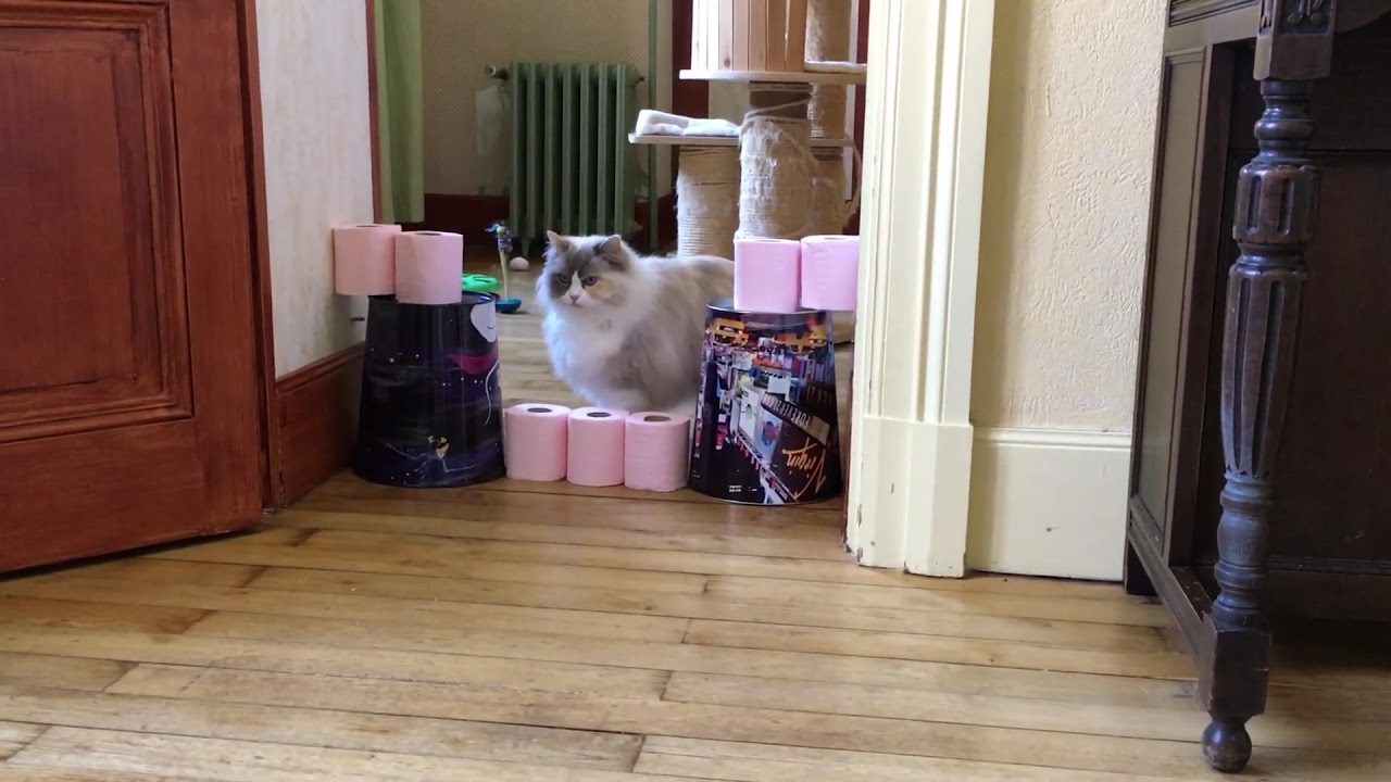 Neolya challenge PQ 1 - YouTube