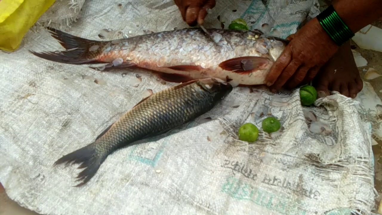 Removing fish skin - YouTube