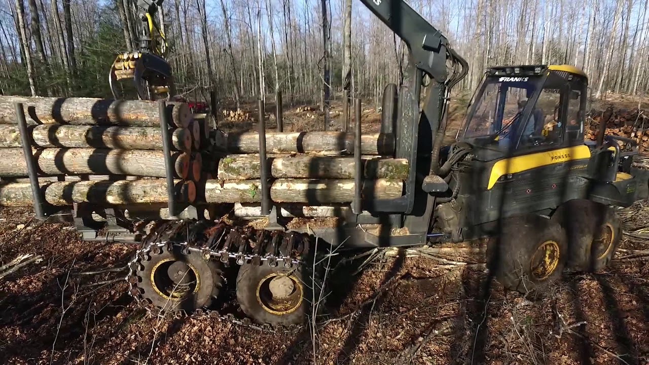 Franks Logging Ponsse Scorpion and Forwarder Demo - YouTube
