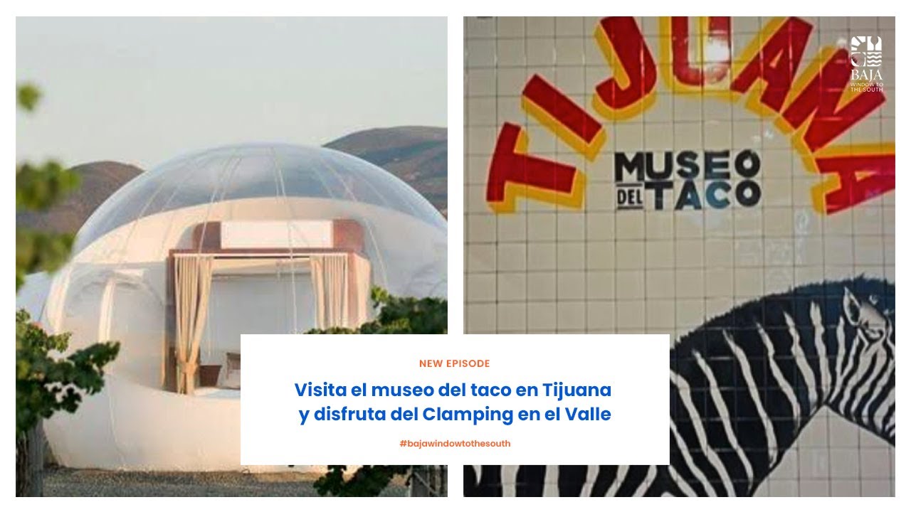 Visita el museo del taco en Tijuana 🌮 y disfruta del Clamping en el ...