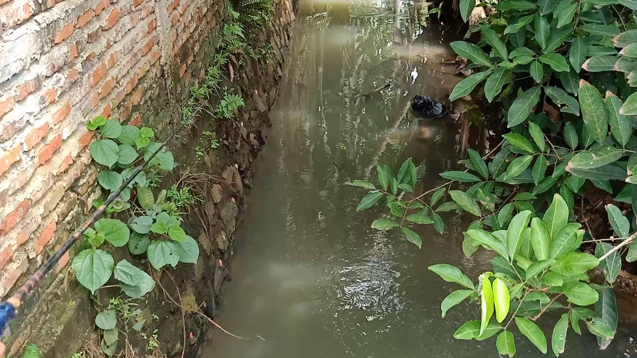 Mancing di selokan - YouTube