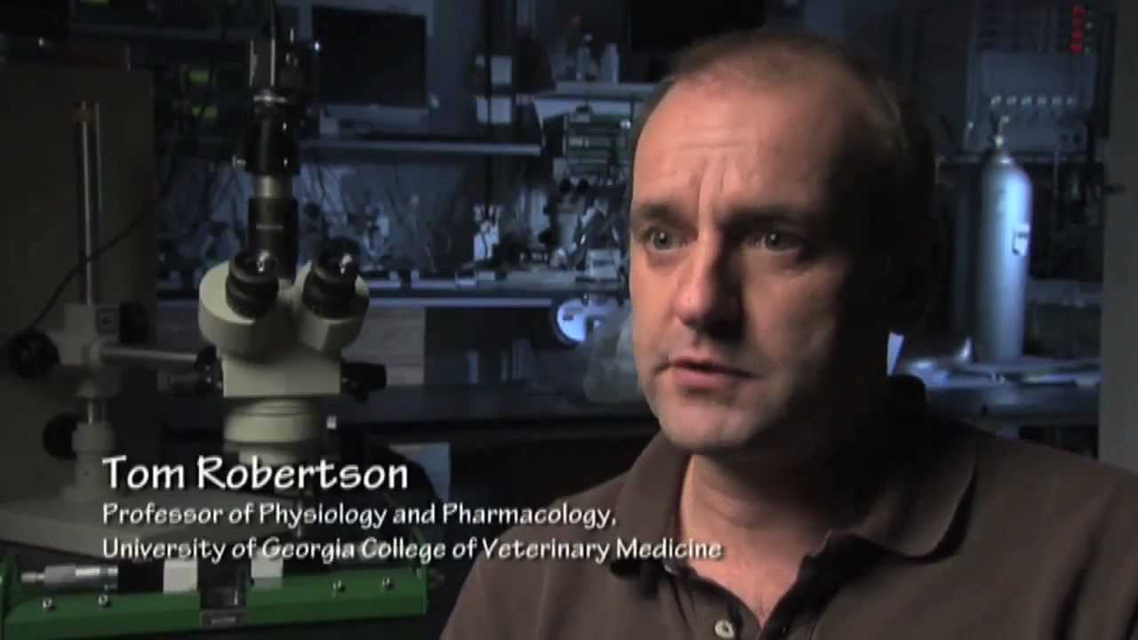 The origins of IS3D. - YouTube