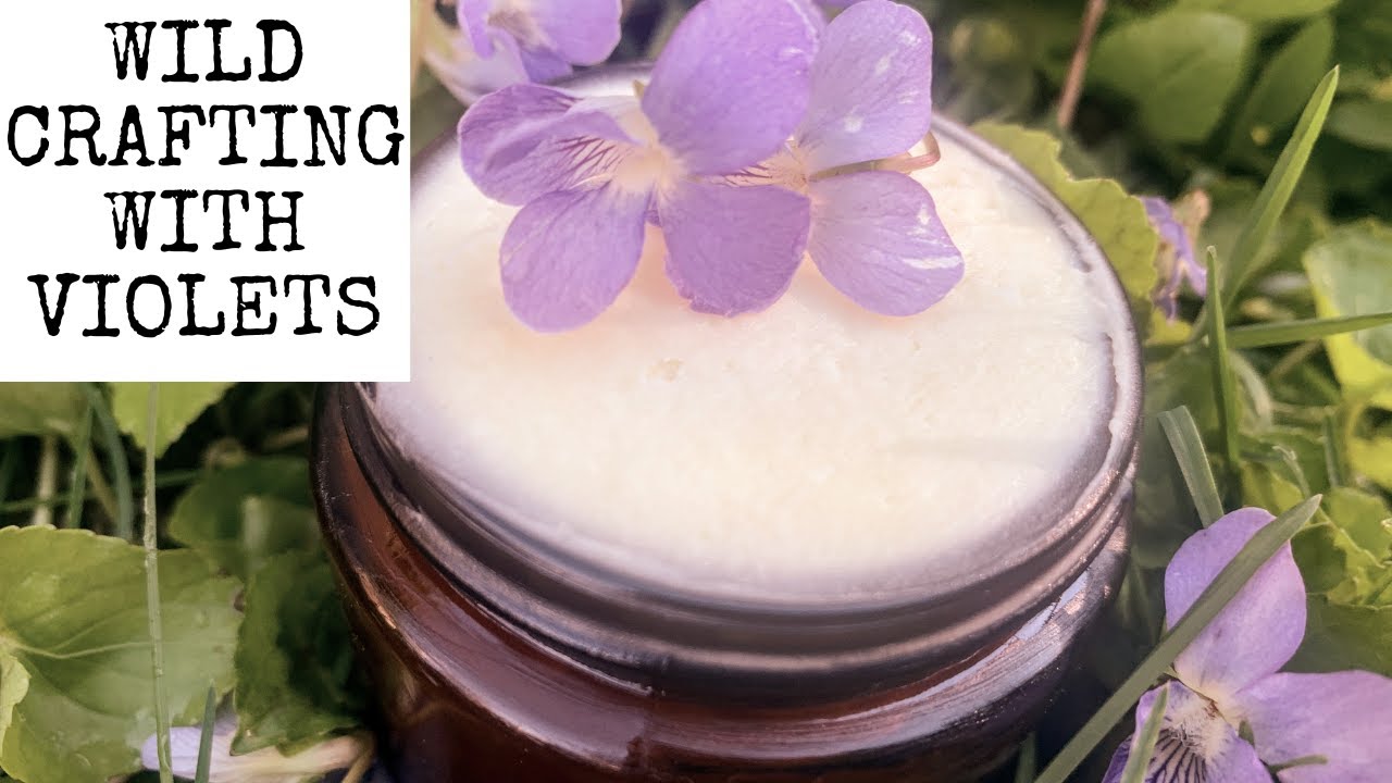 7 Things to Do with Wild Violets - YouTube