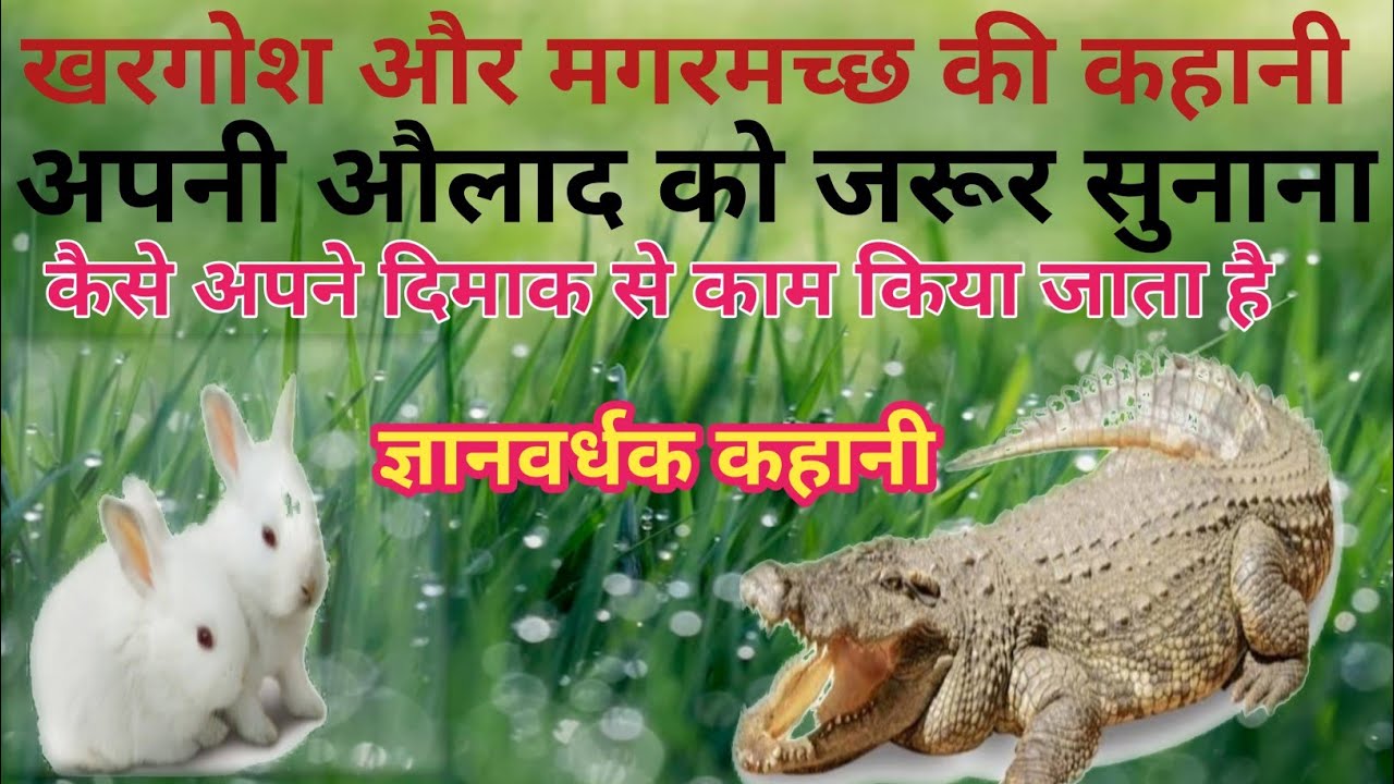 खरगोश और मगरमच्छ की कहानी// khargosh aur magarmachh ki kahani// Hindi ...