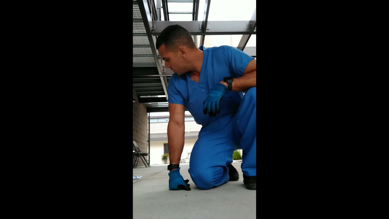 Iron Wolf: Full Body Calisthenics Routine - YouTube
