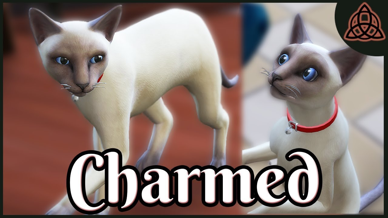 ADVENTURES OF KIT | Charmed | The Sims 4 | Part 9 - YouTube