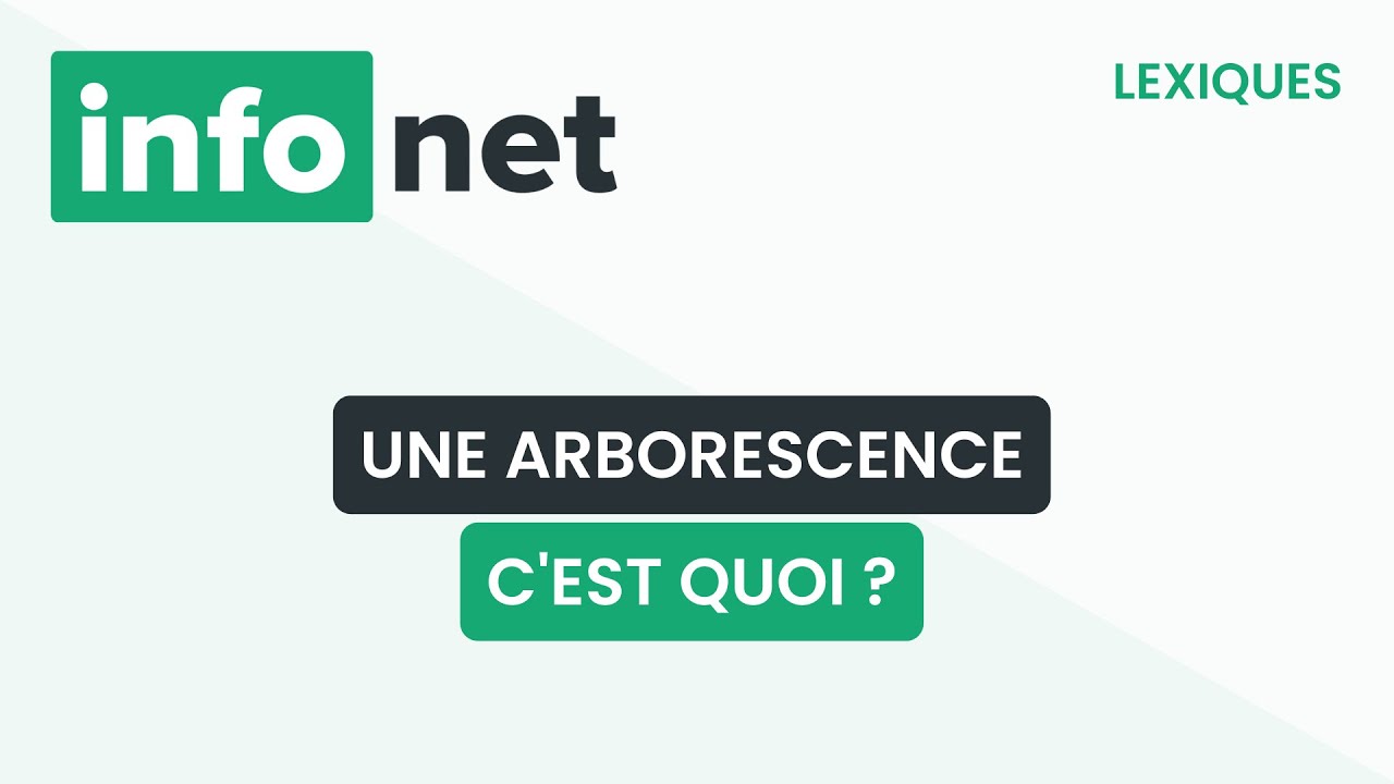 Une arborescence, c'est quoi ? (définition, aide, lexique, tuto ...