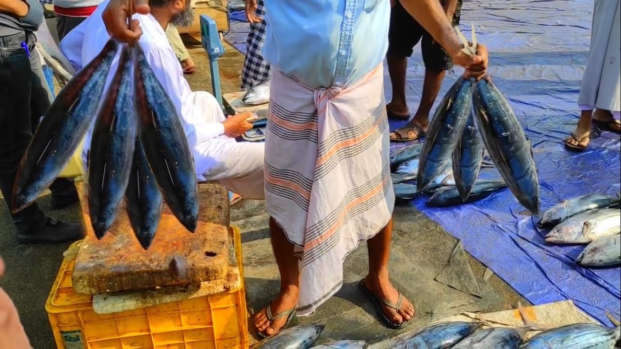 Sri Lanka Best Tuna fish.. Amazing live fish cutting skills in fish ...