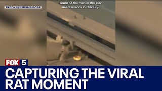 Meet the woman who captured the viral NYC 'donut rat' m... | Doovi