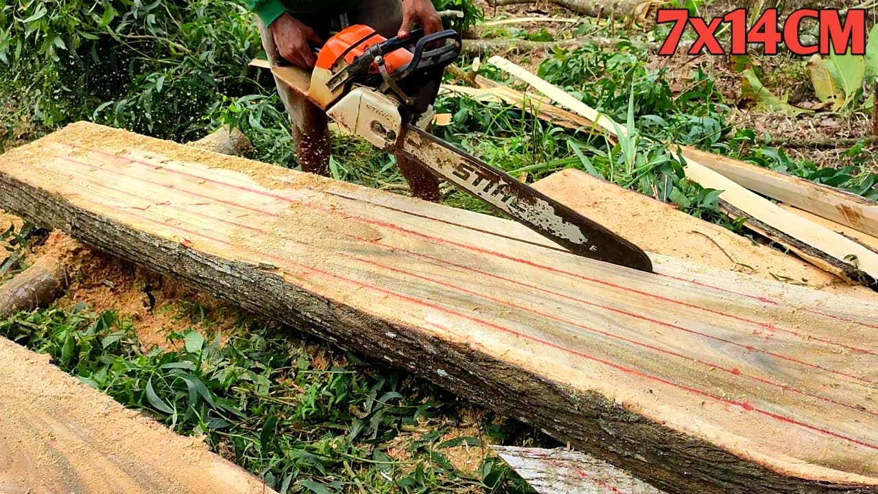 Keahlian membelah kayu,membuat kusen ukuran 7x14cm,chainsaw stihl ms ...