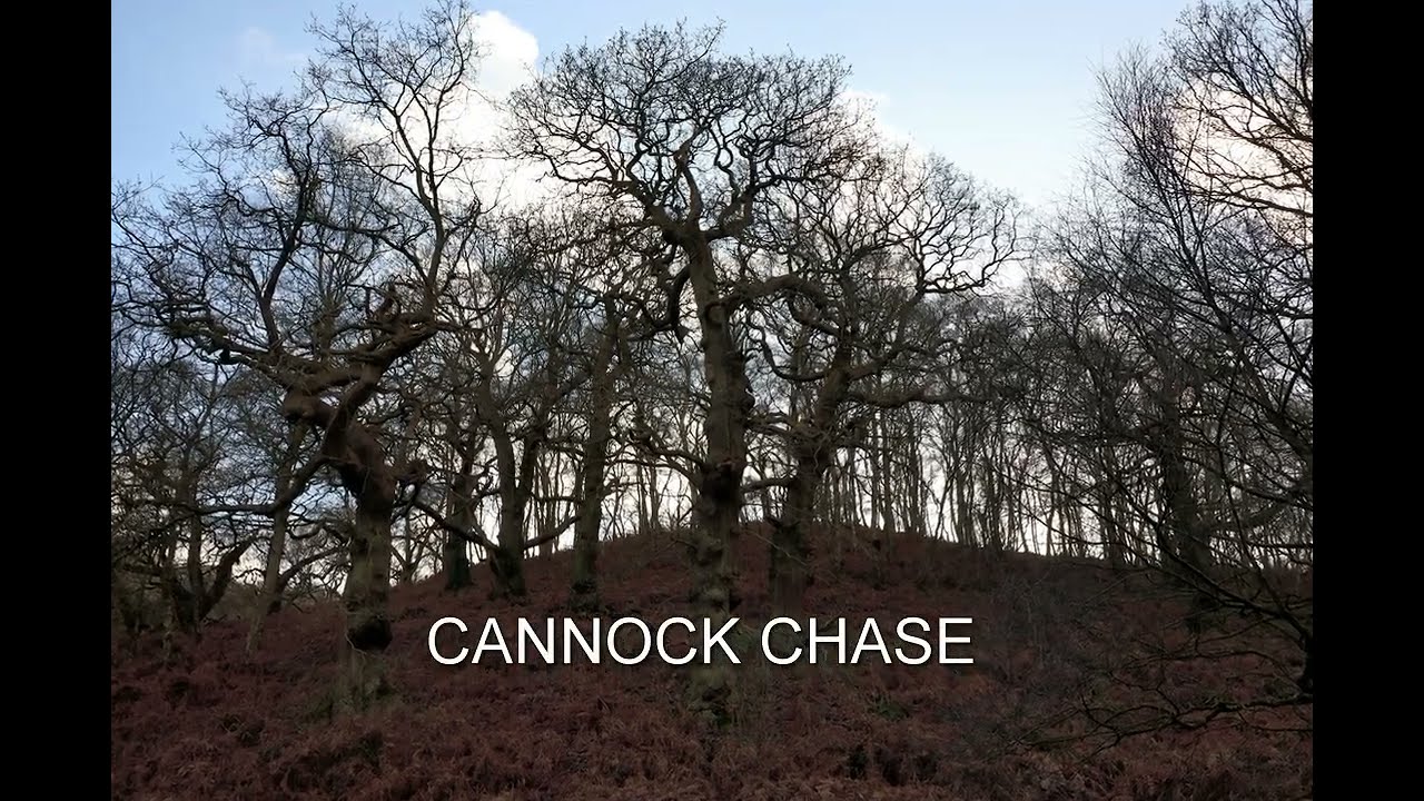 CANNOCK CHASE - BROCTON COPPICE - YouTube