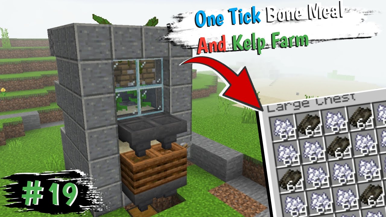 #19 One Tick Bone Meal and Kelp Farm in MCPE BEDROCK |Hindi| LiveTokki ...