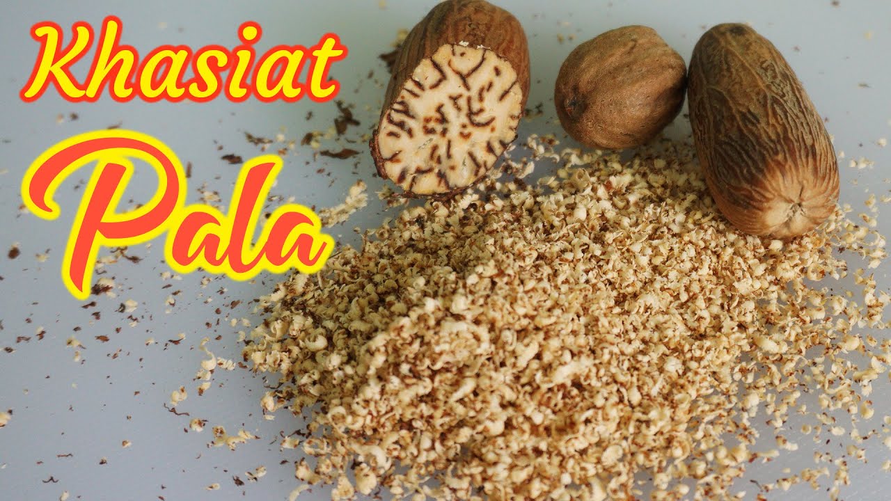 Luar Biasa..!! 8 MANFAAT BIJI PALA BAGI KESEHATAN | MENCEGAH INSOMNIA ...