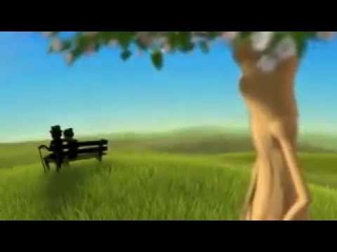 Həyat Haqqında..
