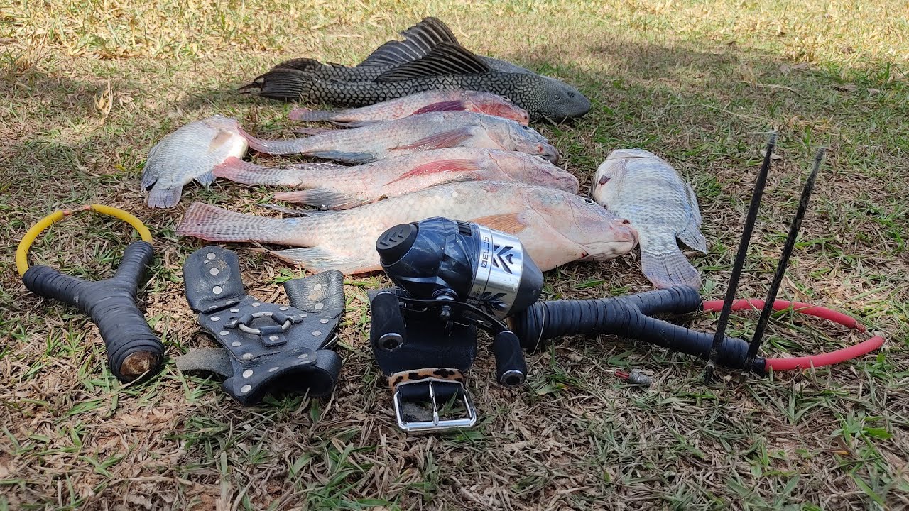 Aquela pescaria que Rendeu... pesca com estilingue/ slingshot fishing ...
