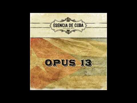 Opus 13 Son deseos