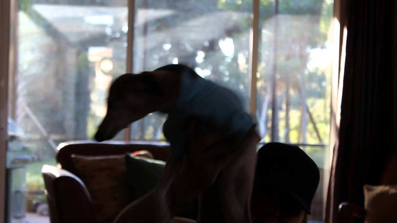 Dancing Iggy Shmurda Shmoney Dance Hot N*gga - YouTube