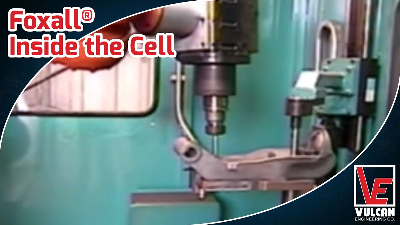 Foxall® - Inside the Cell - YouTube