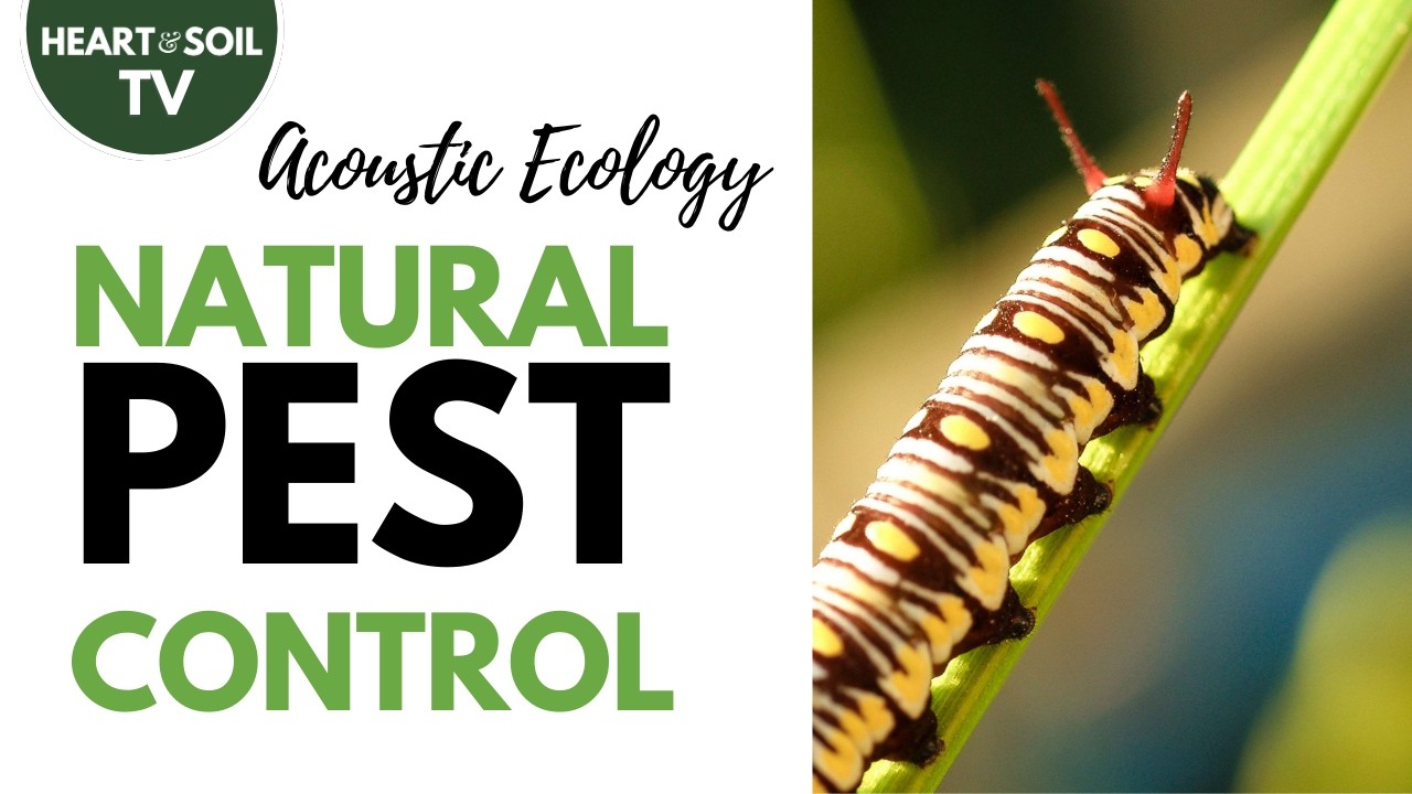 Plants' Natural Pest Control | Dr. Heidi Appel, Ecologist # ...