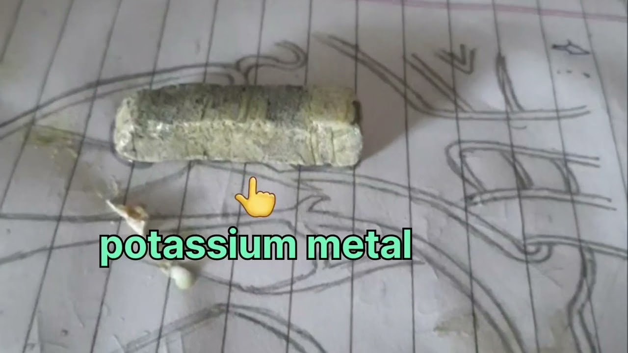 potassium reaction with water ||Nikhil sir - YouTube
