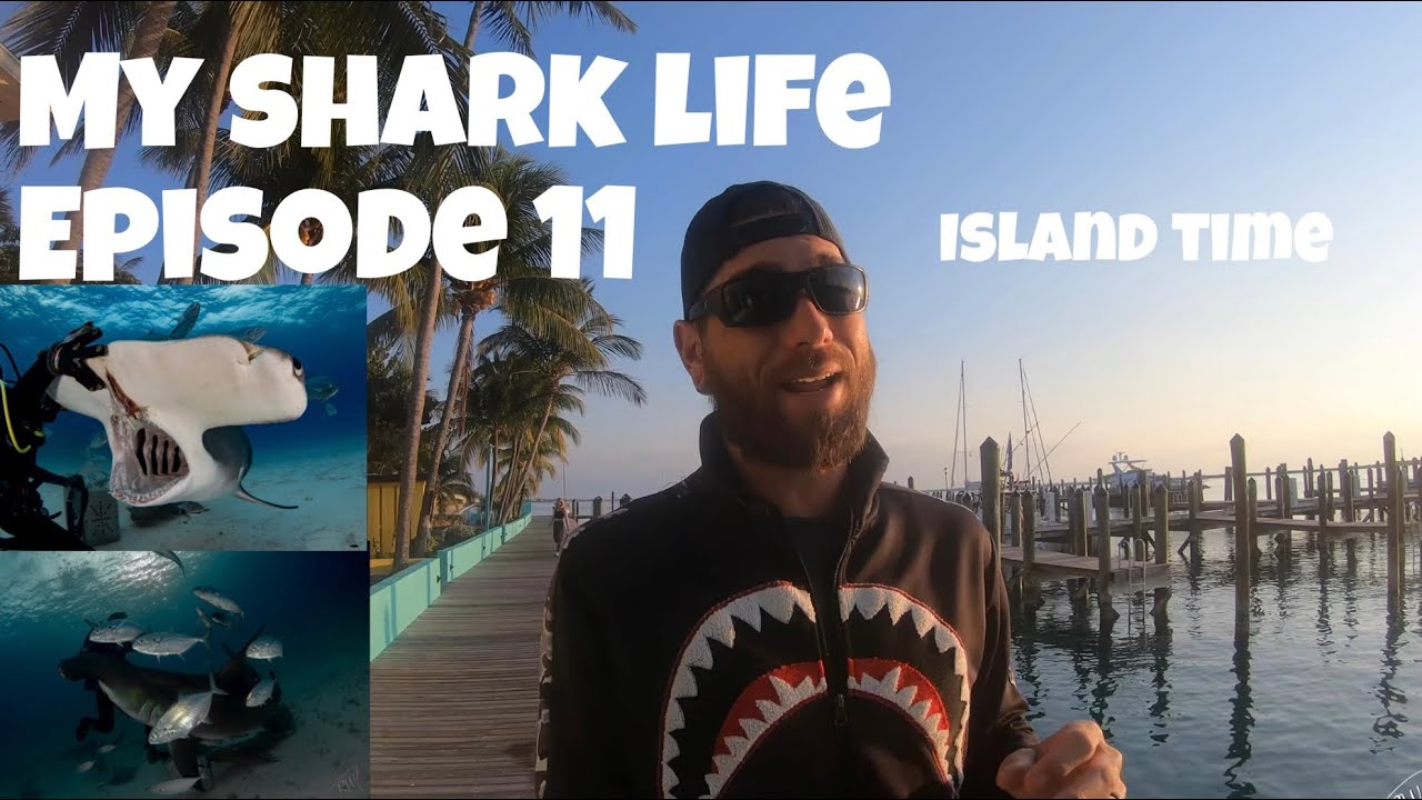 MY SHARK LIFE Season 2 - Episode 11 "Island Time" (@WildlifeWithRyan ...