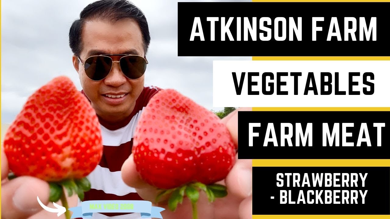 ATKINSON FARM - NICE PLACE - ORGANIC MARKET - FRUIT YOU-PICK - YouTube