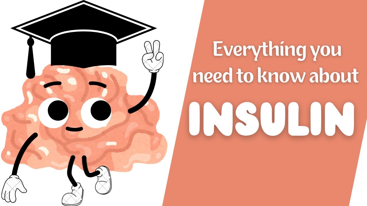 Everything you need to know about Insulin - YouTube