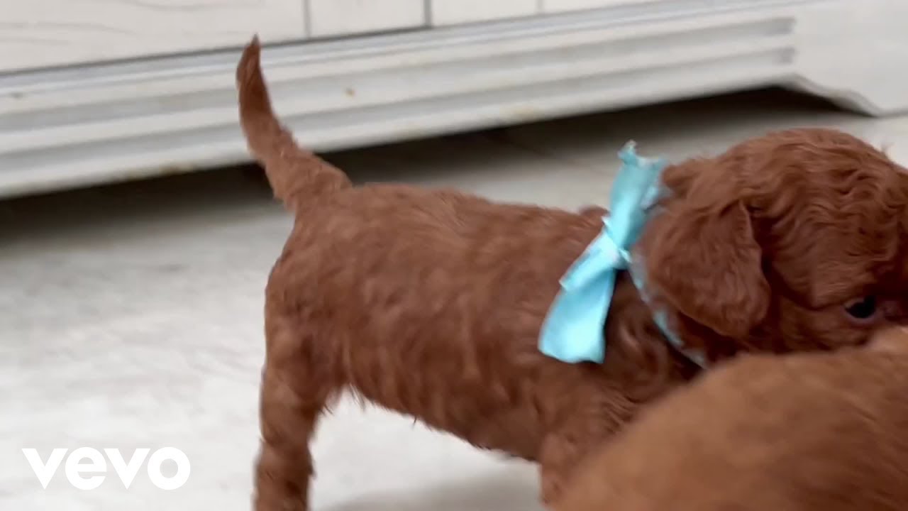 MRNUFFSAID - FUN BABIES - YouTube