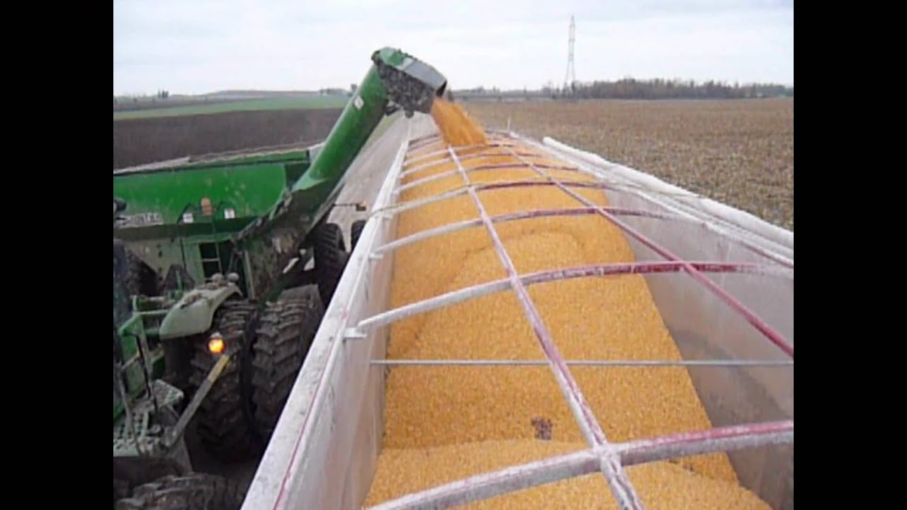 Unloading corn, Harvest 2010 - YouTube