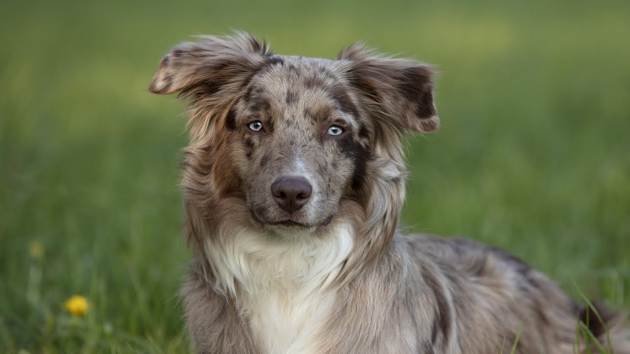 Canon EOS 5ds Sample Images  | Canon EOS 5ds Photos
