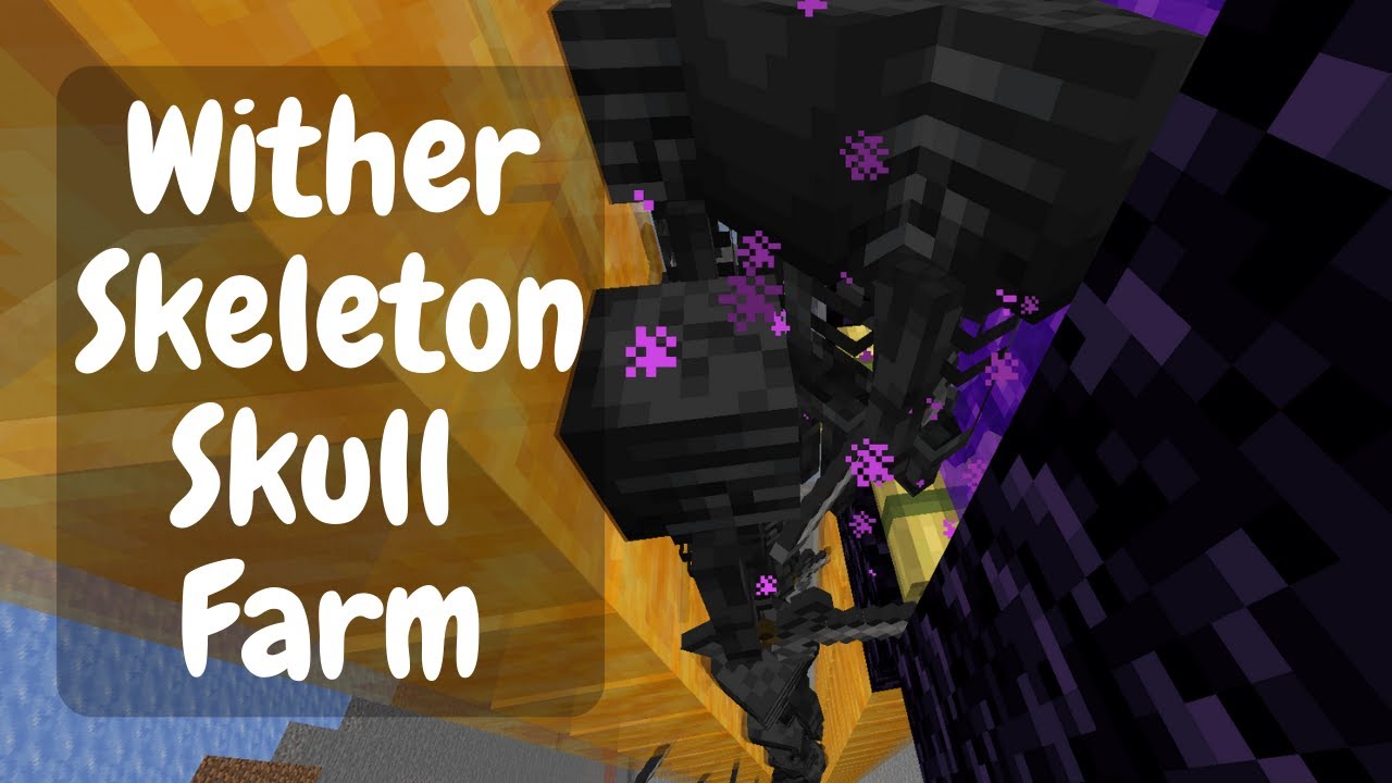 I built an insane wither skeleton farm in my nether world perimeter ...