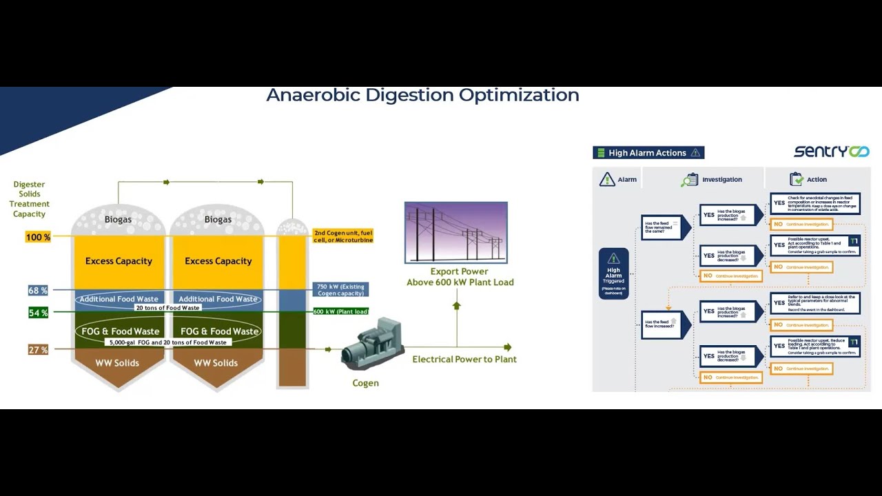 Anaerobic Co-digestion: Process monitoring and organic loading ...
