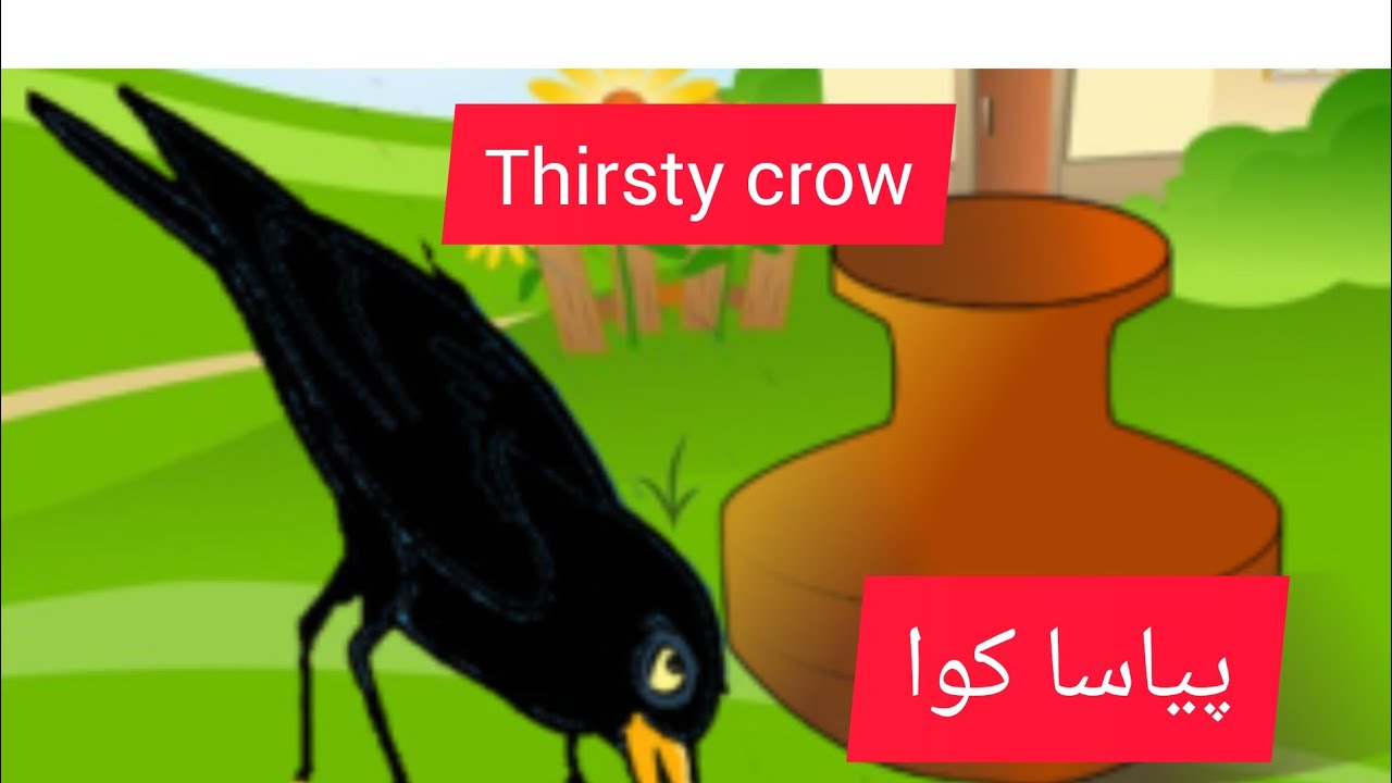 piasa kawa pashto bird cartoon - YouTube