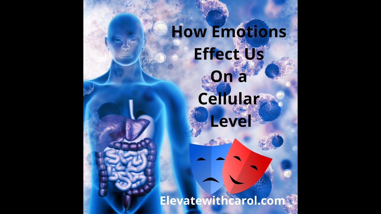 How Emotions Effect Us (On a Cellular Level) - YouTube