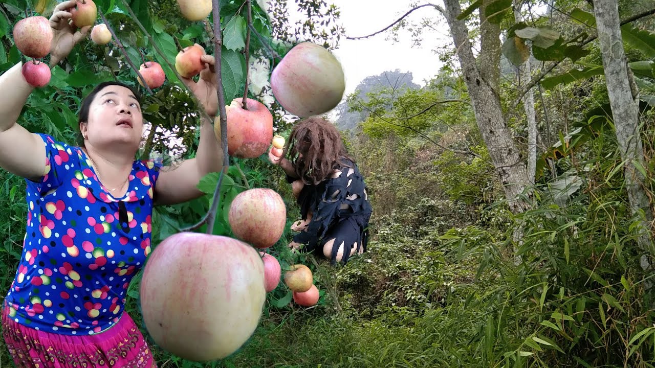 Primitive survival life:The girl picking vegetables met the forest man ...
