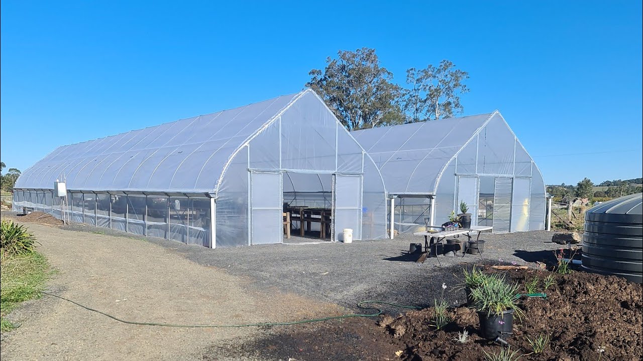 Finally !!.. a fresh Farm tour | new updates | microgreens | Market ...
