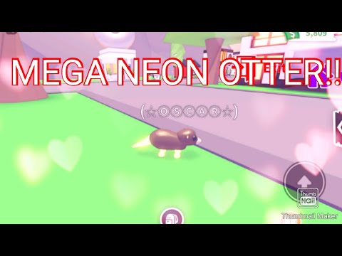 Seeing What People Trade For A MEGA NEON OTTER!!!! - YouTube