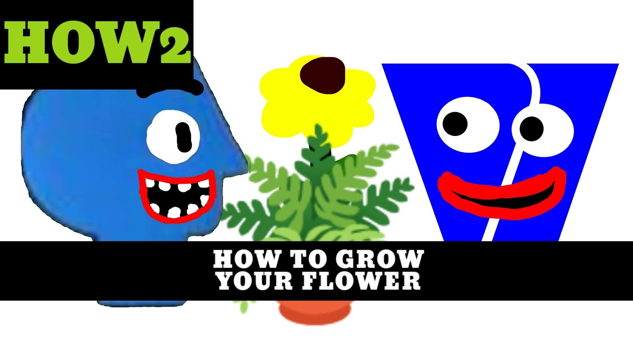HOW2: How To Grow Your Flower - YouTube
