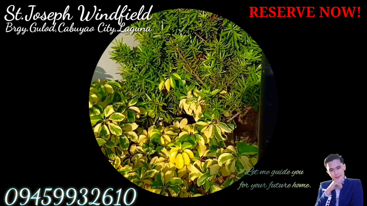 CAMIRA MODEL HOUSE St.Joseph Windfield P.A Properties - YouTube