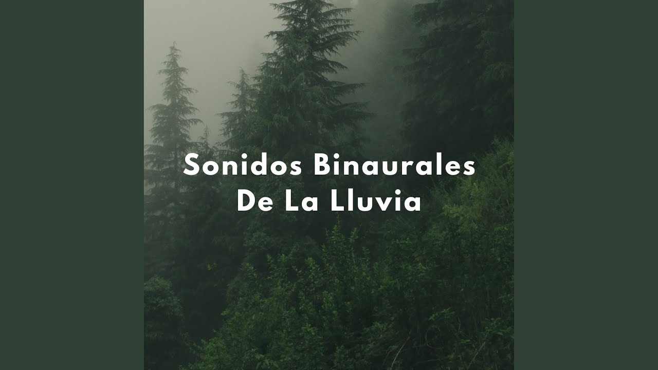 Paisaje Sonoro De Lluvia Suave - YouTube