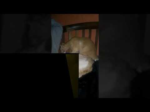 Pacaran di kursi ruang tamu