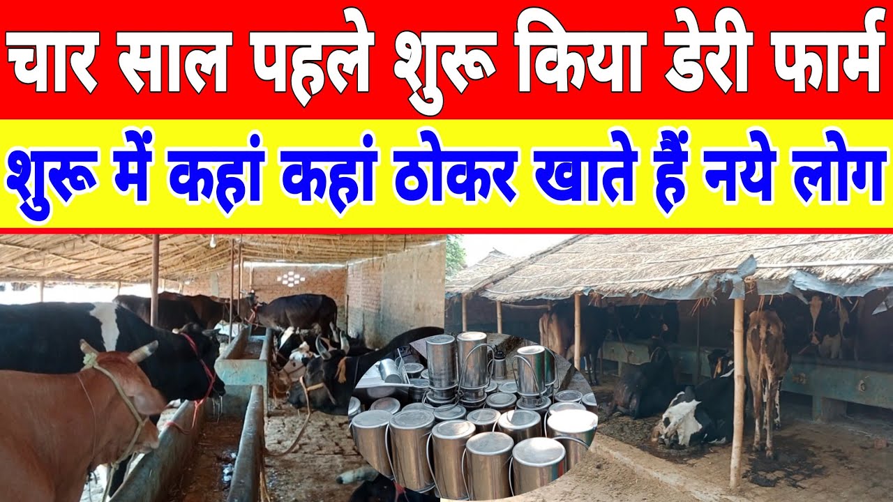 चार साल में क्या क्या चुनौती आती है नये पशुपालक के साथ/small dairy farm ...