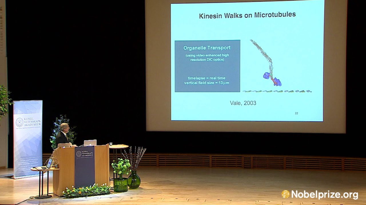 Clip: Martin Karplus, Nobel Lecture 2013 - YouTube