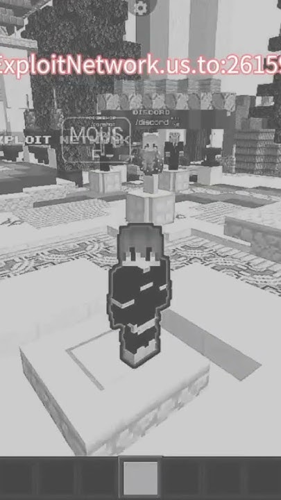 Minecraft Lifestyle server Exploit Network #lifestealserver - YouTube