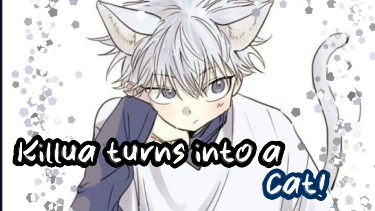 Killua turns into a cat!🐈💗[Killua×Listener] Killua as a neko! - YouTube