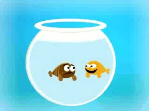 Fish Bowl Story - YouTube